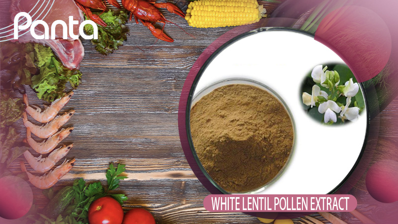White Lentil Pollen Extract - Hangzhou Panta Trading Co.,Ltd