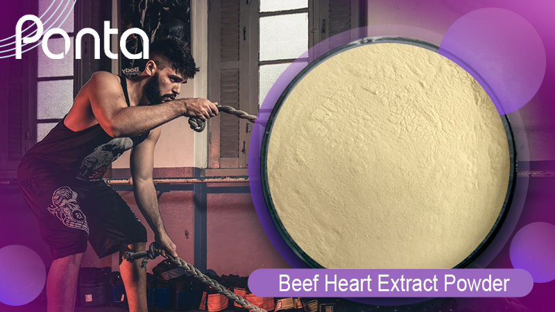 Beef Heart Extract Powder - Hangzhou Panta Trading Co.,Ltd