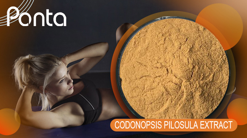 Codonopsis Pilosula Extract - Hangzhou Panta Trading Co.,Ltd