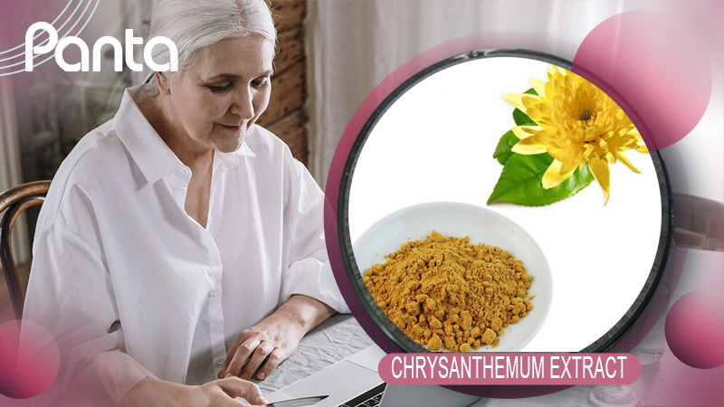Chrysanthemum Extract - Hangzhou Panta Trading Co.,Ltd
