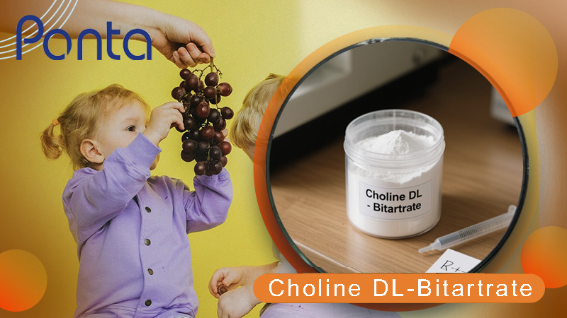 Choline DL-Bitartrate - Hangzhou Panta Trading Co.,Ltd