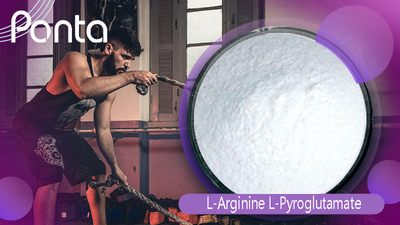 L-Arginine L-Pyroglutamate - Hangzhou Panta Trading Co.,Ltd