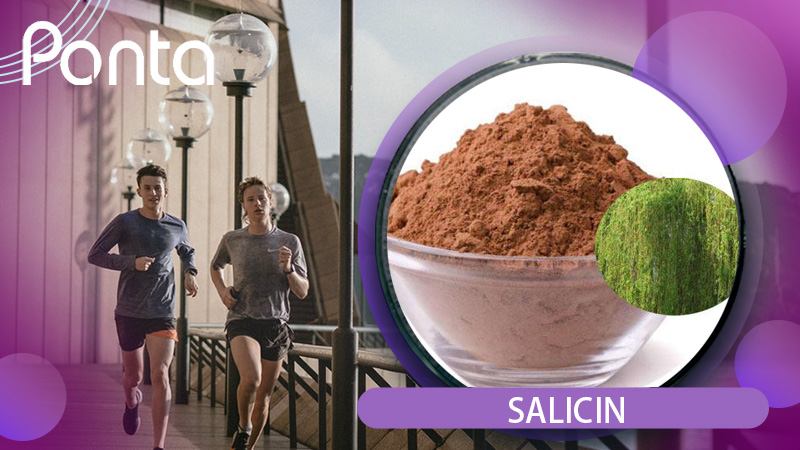 Salicin - Hangzhou Panta Trading Co.,Ltd